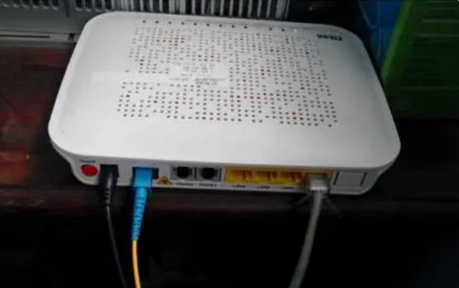 What's the difference between a cat and a router - Ningbo Meilan ...